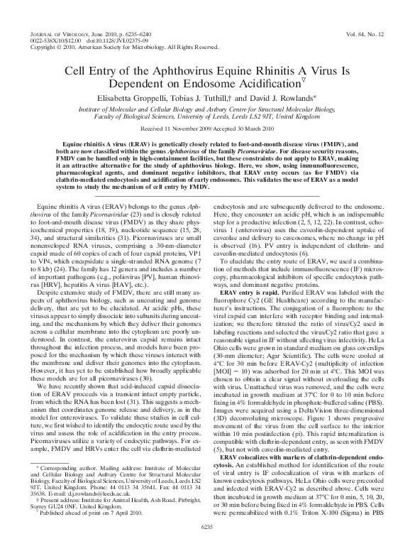 (PDF) Cell Entry of the Aphthovirus Equine Rhinitis A Virus Is ...