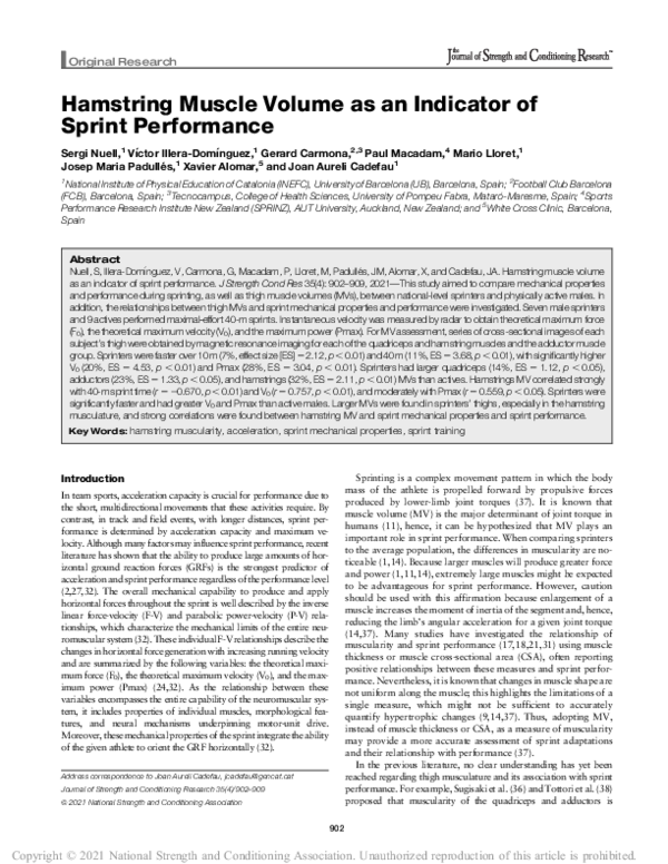 (PDF) Hamstring Muscle Volume as an Indicator of Sprint Performance
