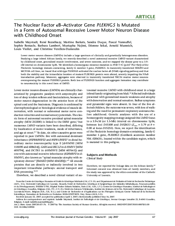 (PDF) The Nuclear Factor κB–Activator Gene PLEKHG5 Is Mutated in a Form ...