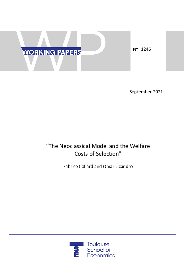 (PDF) The Neoclassical Model and the Welfare Costs of Selection