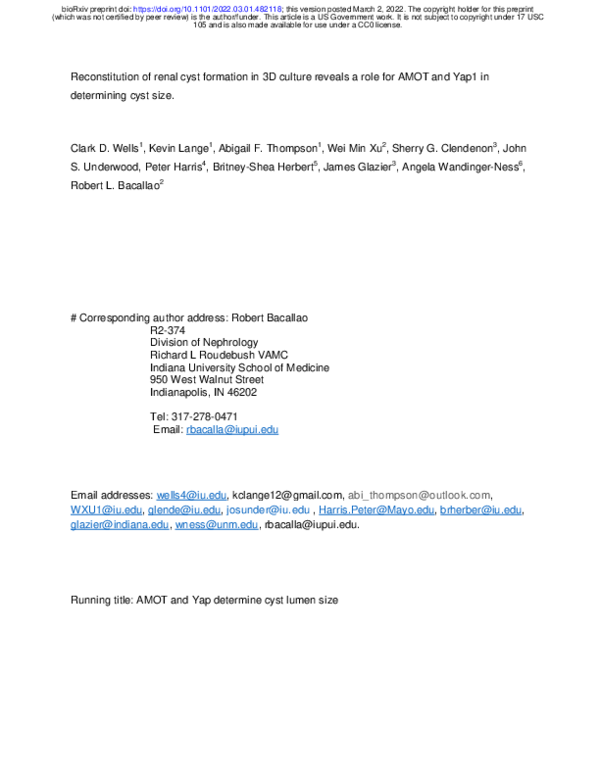 (PDF) Reconstitution of renal cyst formation in 3D culture reveals a role for AMOT and Yap1 in ...