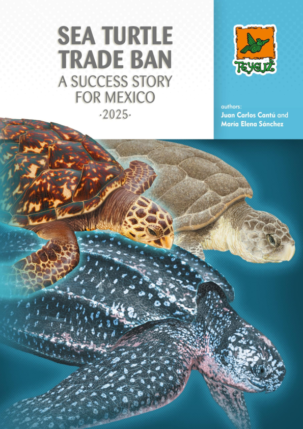 (PDF) SEA TURTLE TRADE BAN: A SUCCESS STORY FOR MEXICO