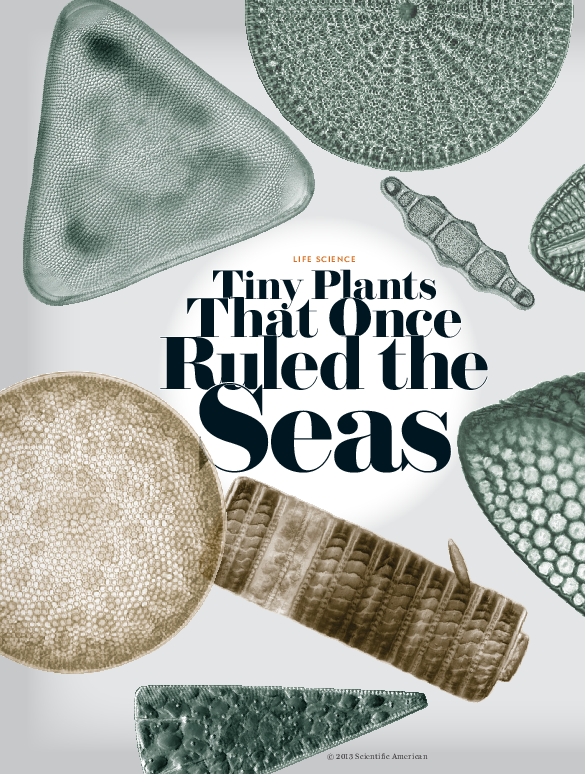 (PDF) Tiny Plants That Once Ruled the Seas