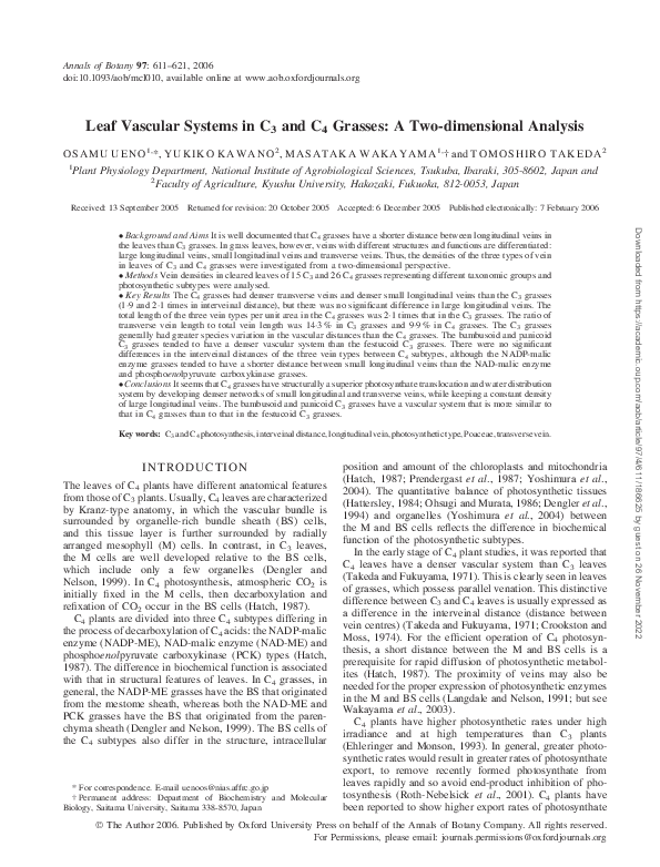 (PDF) Leaf vascular systems in C-3 and C-4 grasses: A two-dimensional ...