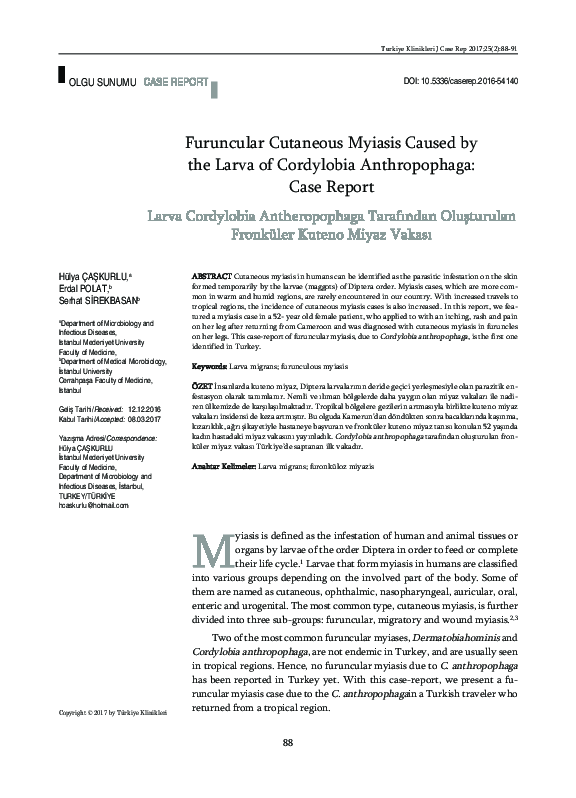 (PDF) Furuncular Cutaneous Myiasis Caused by the Larva of Cordylobia ...