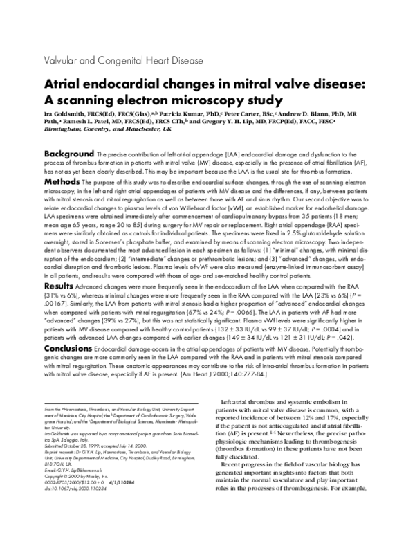 Atrial endocardial changes in mitral valve disease: A scanning electron ...