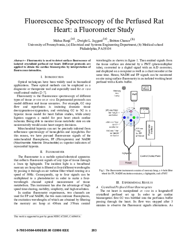 (PDF) Fluorescence Spectroscopy of the Perfused Rat Heart: a ...