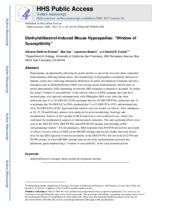 (PDF) Diethylstilbestrol-induced mouse hypospadias: “window of ...