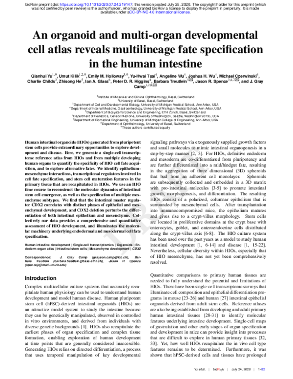 (PDF) An organoid and multi-organ developmental cell atlas reveals ...