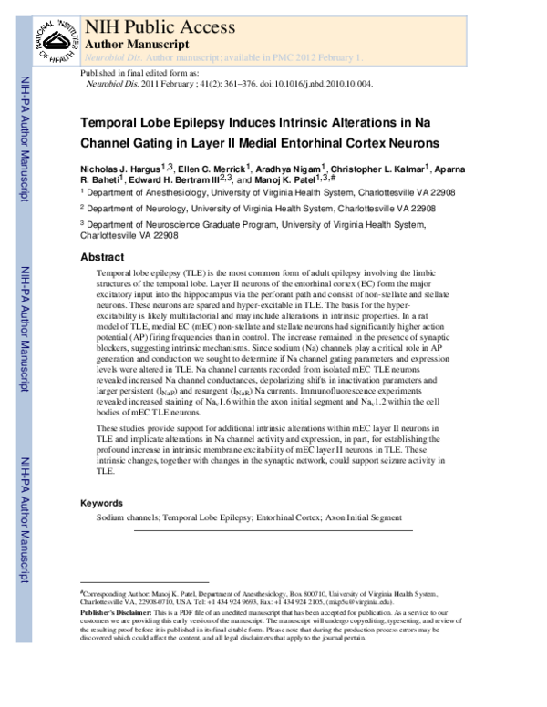 Temporal lobe epilepsy induces intrinsic alterations in Na channel ...