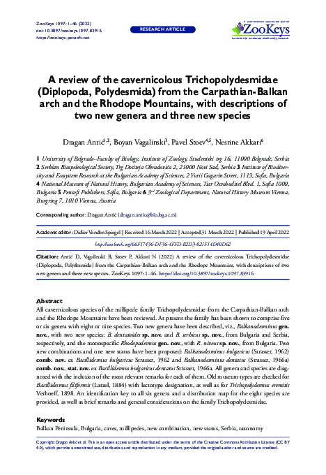 (PDF) ﻿A review of the cavernicolous Trichopolydesmidae (Diplopoda ...