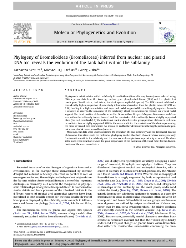 (PDF) Phylogeny of Bromelioideae (Bromeliaceae) inferred from nuclear ...