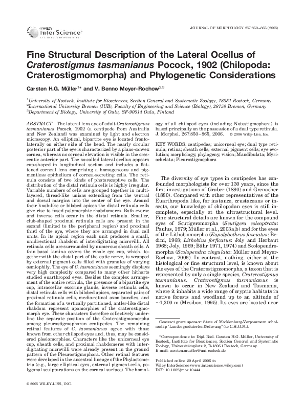 Fine structural description of the lateral ocellus ofCraterostigmus ...