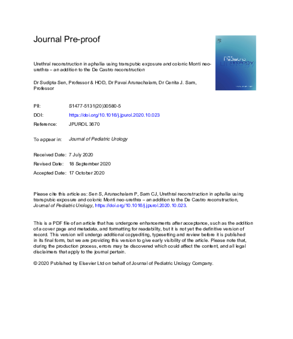 (PDF) Urethral reconstruction in aphallia using transpubic exposure and ...