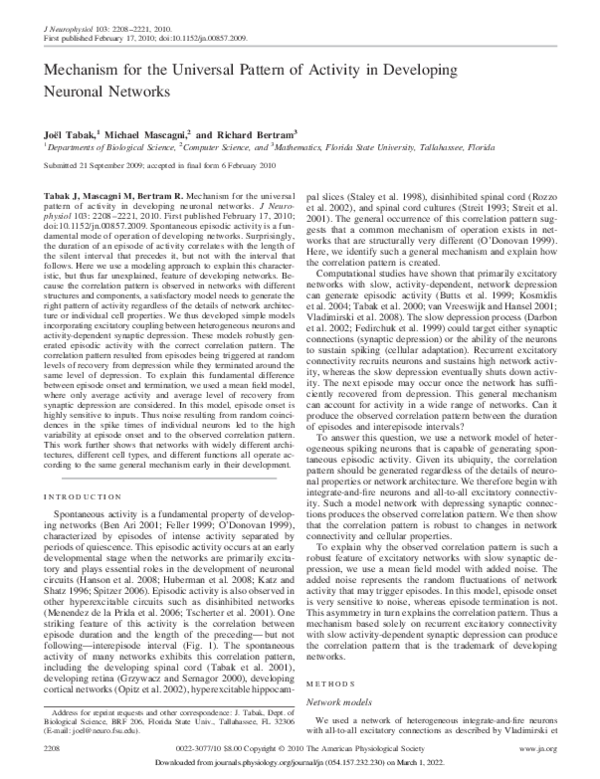(PDF) Mechanism for the Universal Pattern of Activity in Developing Neuronal Networks
