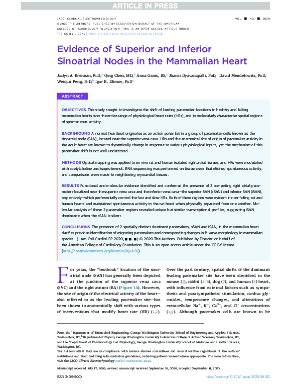 Evidence of Superior and Inferior Sinoatrial Nodes in the Mammalian Heart