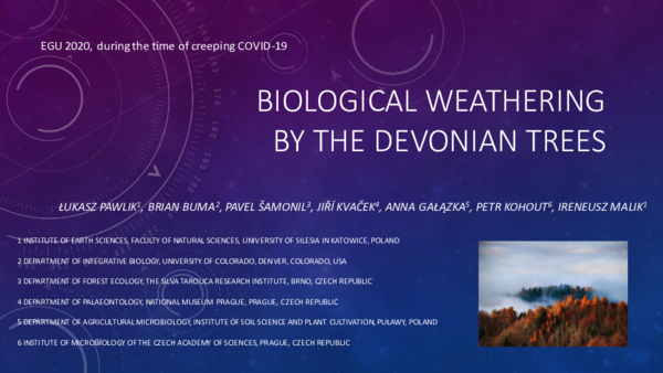(PDF) Biological weathering by the Devonian trees