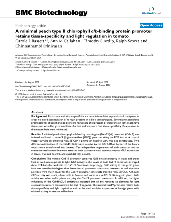 (PDF) A minimal peach type II chlorophyll a/b-binding protein promoter ...