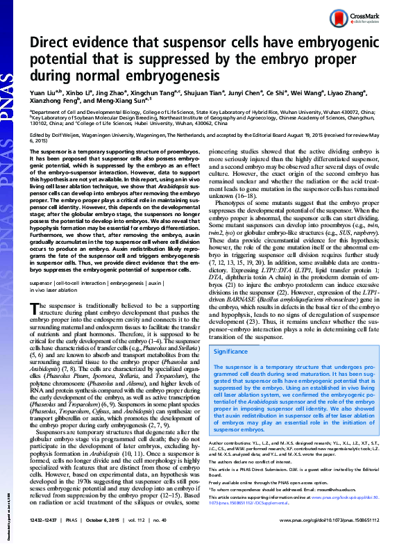 (PDF) Direct evidence that suspensor cells have embryogenic potential ...