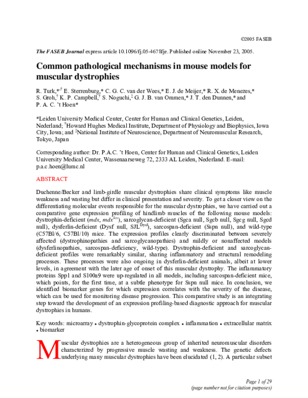 (PDF) Common pathological mechanisms in mouse models for muscular ...