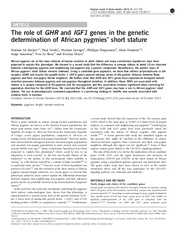 The role of GHR and IGF1 genes in the genetic determination of African ...