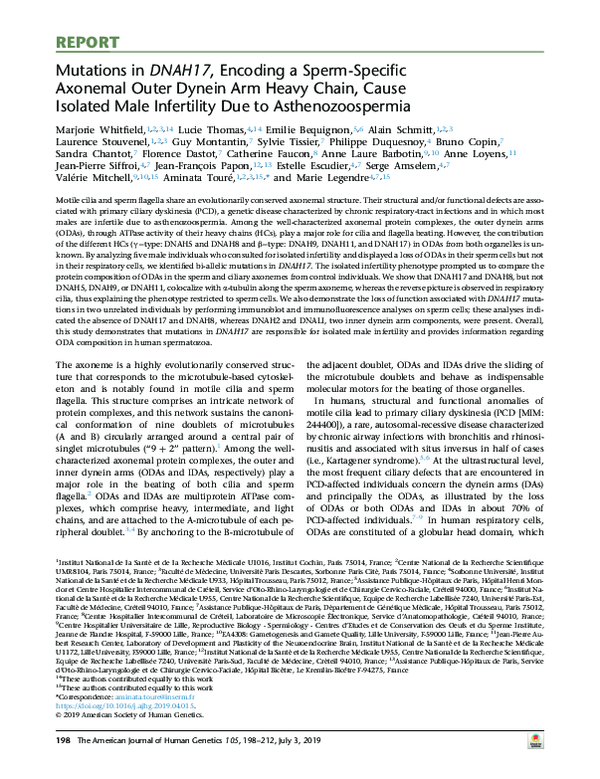 (PDF) Mutations in DNAH17, Encoding a Sperm-Specific Axonemal Outer ...