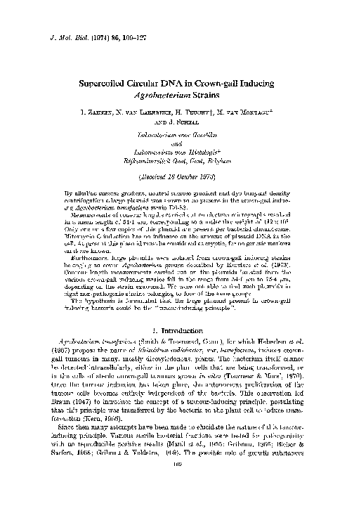 (PDF) Supercoiled circular DNA in crown-gall inducing Agrobacterium strains