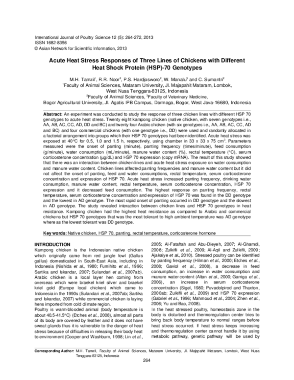(PDF) Acute Heat Stress Responses of Three Lines of Chickens with ...