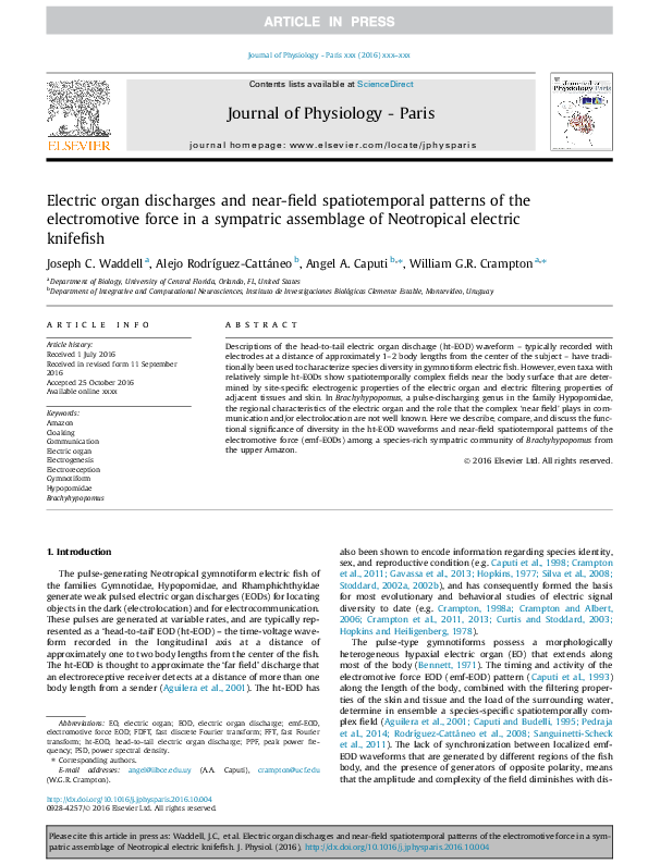 (PDF) Electric organ discharges and near-field spatiotemporal patterns ...