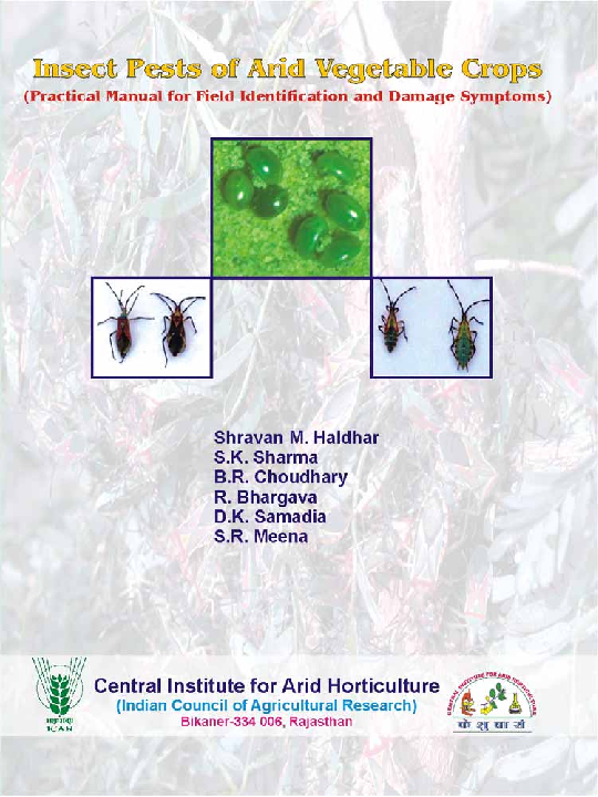 (PDF) Insect Pests of Arid Vegetable Crops: Practical Manual for Field Identification and Damage ...