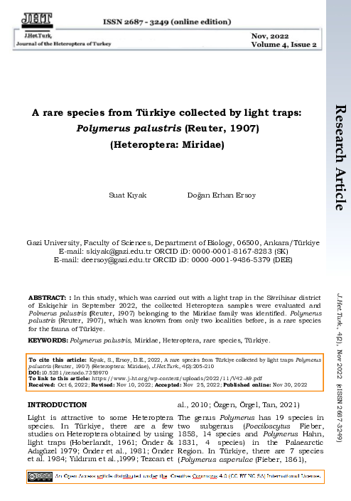 (PDF) A rare species from Türkiye collected by light traps: Polymerus ...