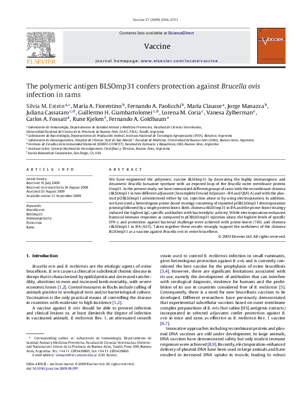 (PDF) The polymeric antigen BLSOmp31 confers protection against ...