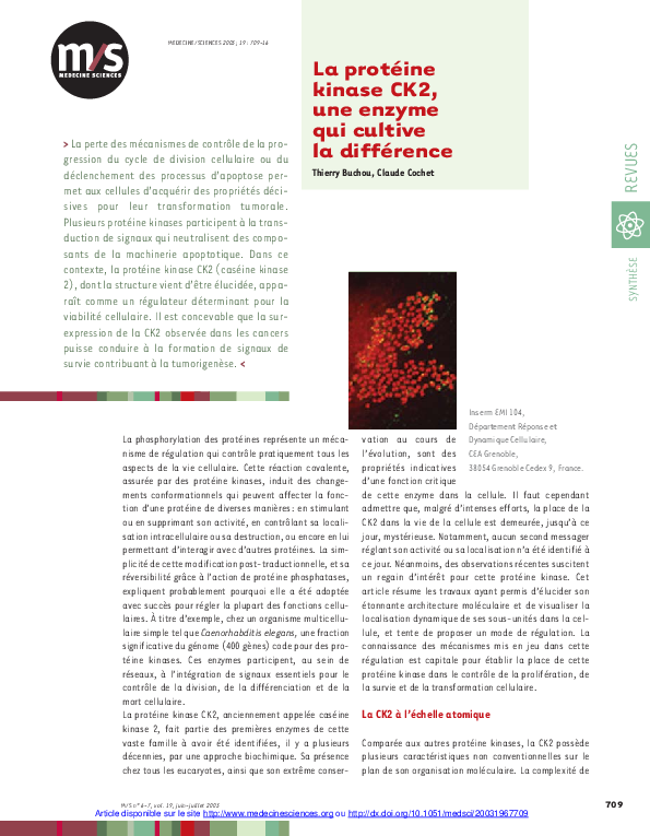 (PDF) La protéine kinase CK2, une enzyme qui cultive la différence