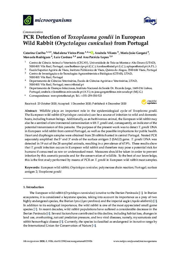 (PDF) PCR Detection of Toxoplasma gondii in European Wild Rabbit ...