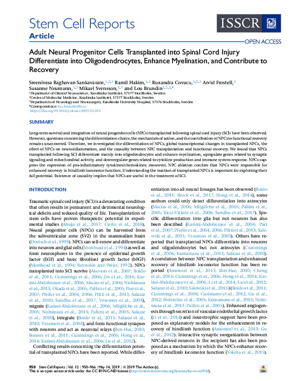 (PDF) Adult Neural Progenitor Cells Transplanted into Spinal Cord Injury Differentiate into ...