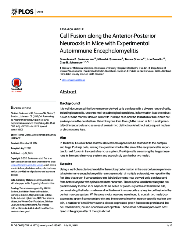 (PDF) Cell Fusion along the Anterior-Posterior Neuroaxis in Mice with ...