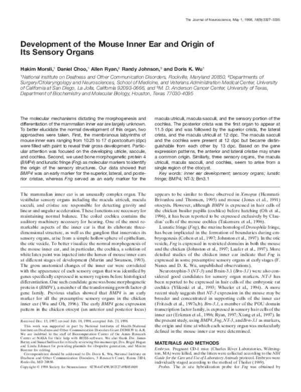 (PDF) Development of the Mouse Inner Ear and Origin of Its Sensory Organs