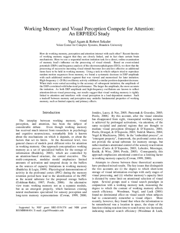 (PDF) Working Memory and Visual Perception Compete for Attention: An ...