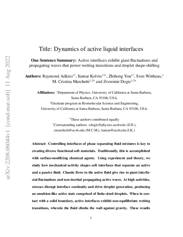 (PDF) Dynamics of active liquid interfaces