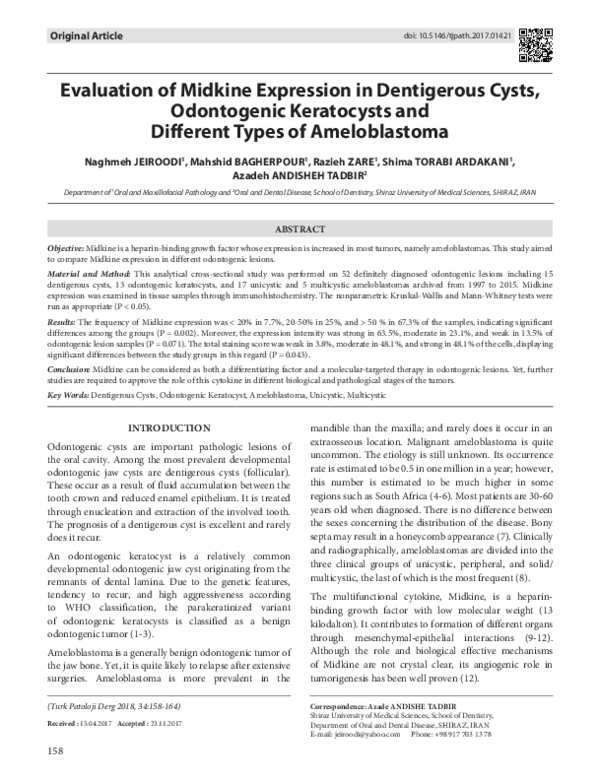 Evaluation of midkine expression in dentigerous cysts, odontogenic ...