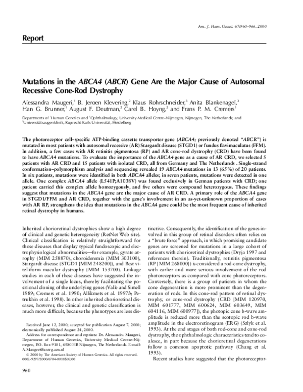 (PDF) Mutations in the ABCA4 (ABCR) Gene Are the Major Cause of ...