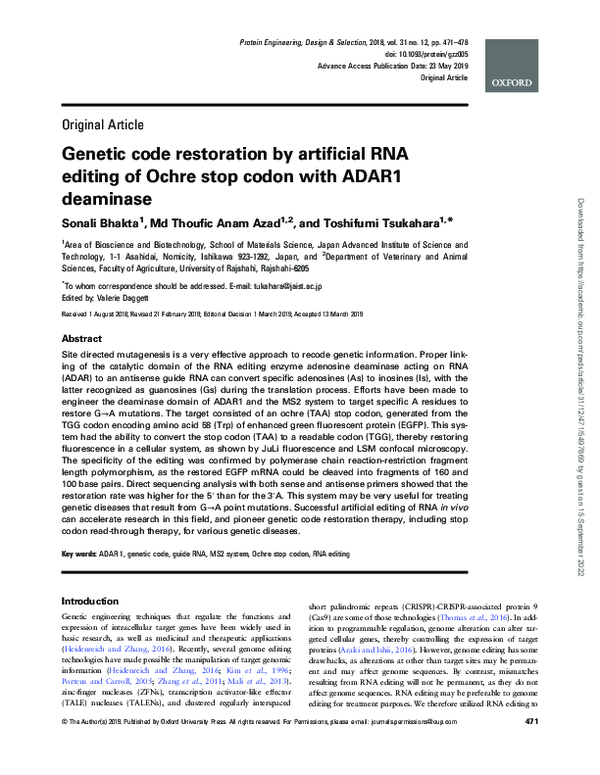 (PDF) Genetic code restoration by artificial RNA editing of Ochre stop ...