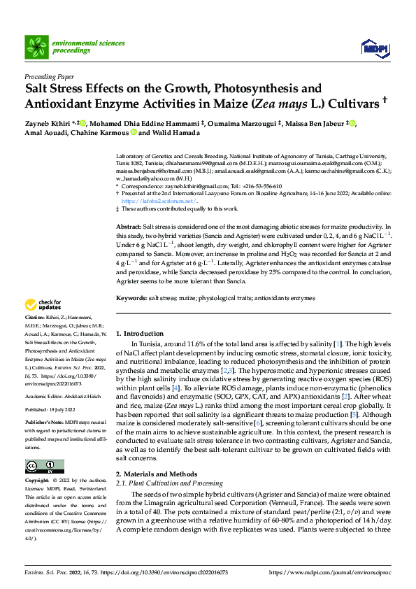 (PDF) Salt Stress Effects on the Growth, Photosynthesis and Antioxidant ...