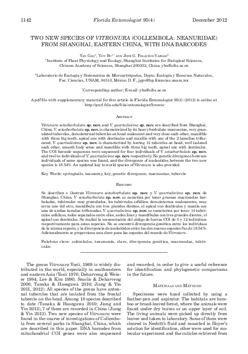 (PDF) Two New Species ofVitronura(Collembola: Neanuridae) from Shanghai ...