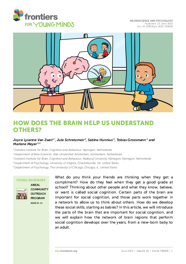 (PDF) How Does the Brain Help us Understand Others?