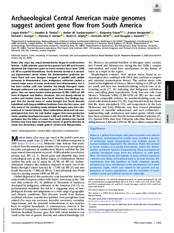 Archaeological Central American maize genomes suggest ancient gene flow ...
