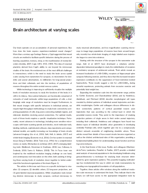 (PDF) Brain architecture at varying scales