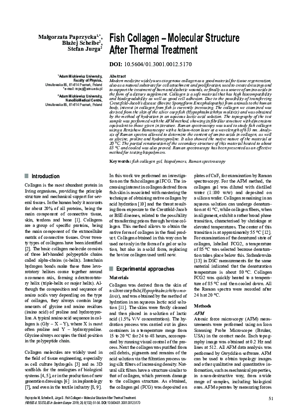 (PDF) Fish Collagen – Molecular Structure After Thermal Treatment