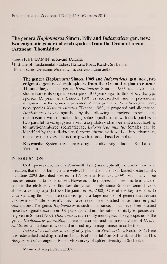 (PDF) The genera Haplotmarus Simon, 1909 and Indoxysticus gen. nov ...