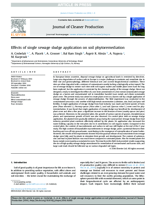 (PDF) Effects of single sewage sludge application on soil phytoremediation